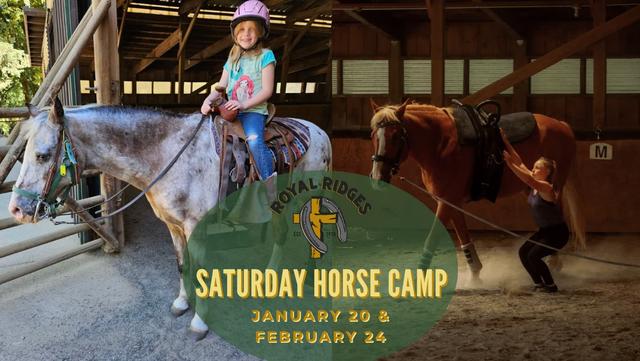 Royal Ridges - An Adventure Camp in Southern Washington