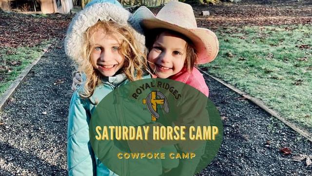 Royal Ridges - An Adventure Camp in Southern Washington