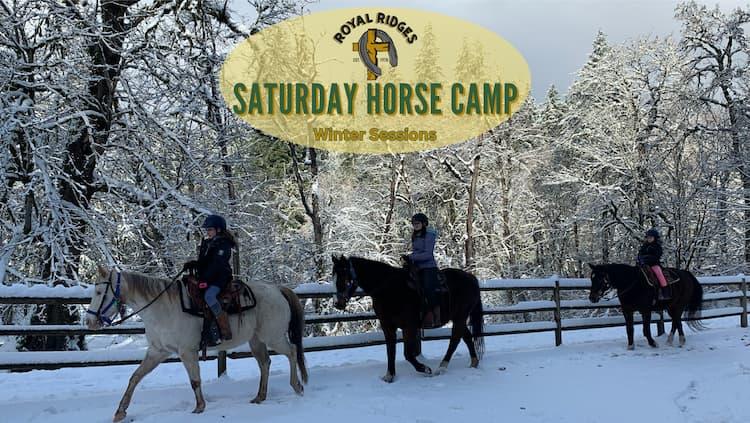 Royal Ridges - An Adventure Camp in Southern Washington